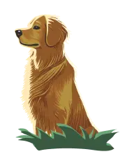 About - Lone Wolf Ranch Pets